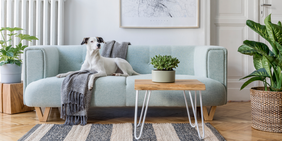 National Indoor Plant Week