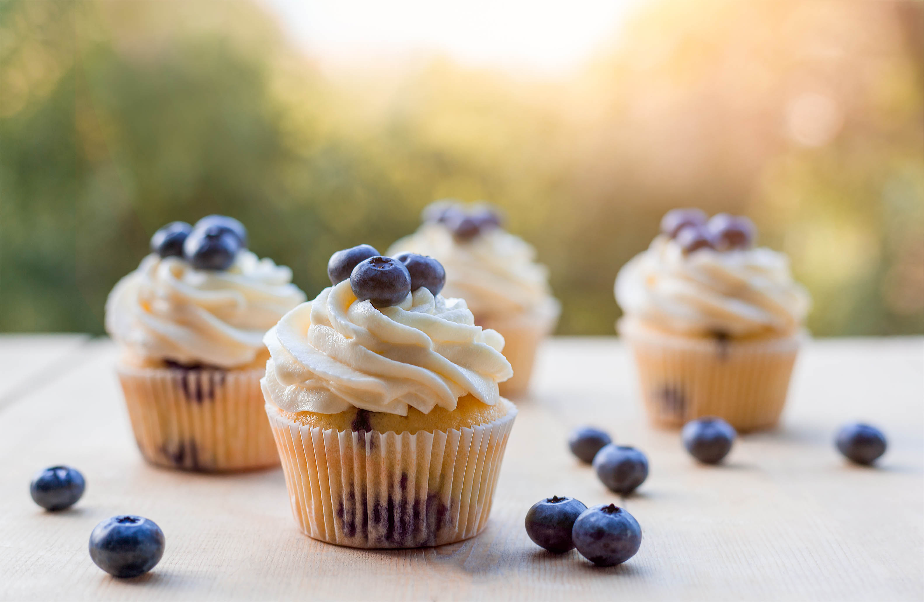 Blueberry Pupcakes to Celebrate Your Pup's Birthday!