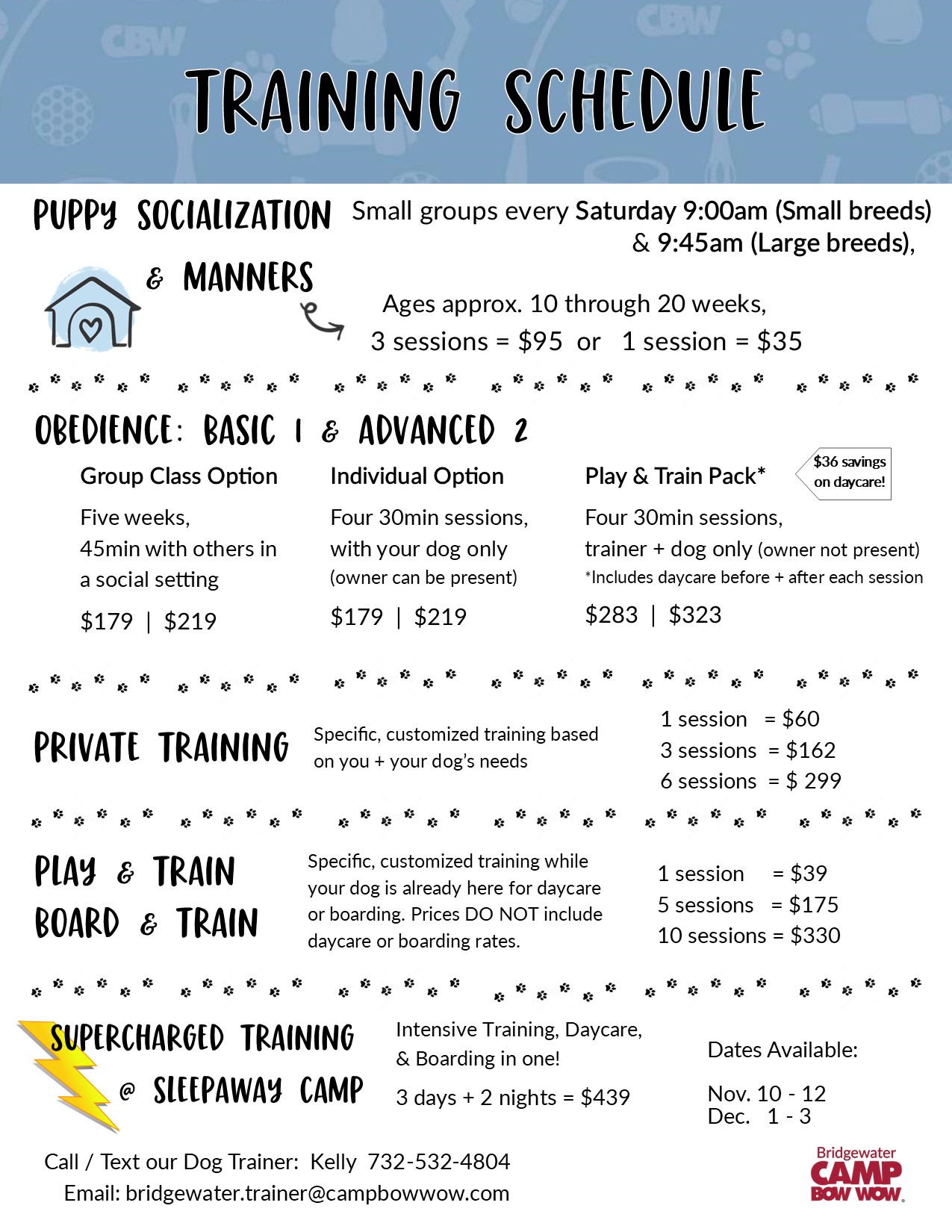 Bridgewater Dog Training | Dog Care Services