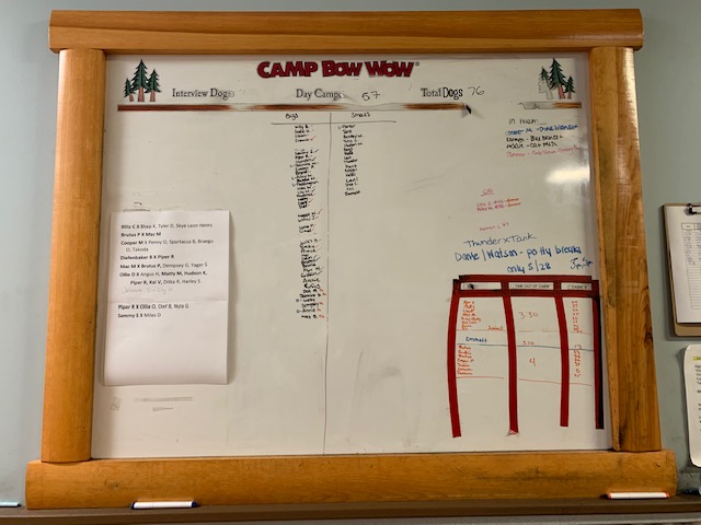 Photo Gallery | Camp Bow Wow