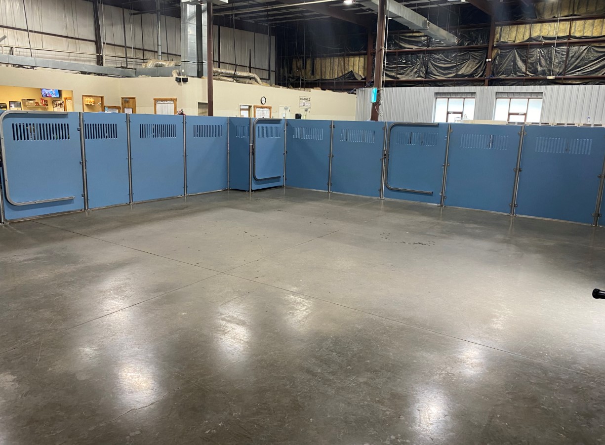 Photo Gallery | Camp Bow Wow