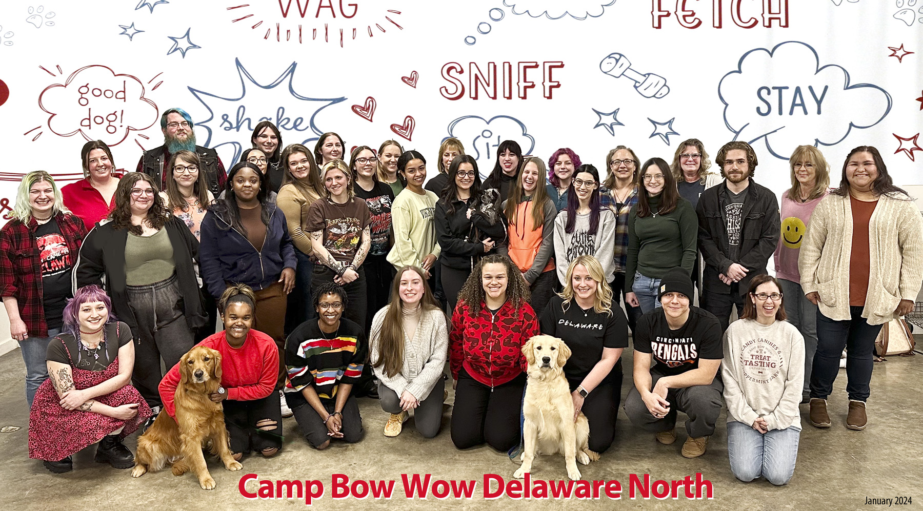 Camp Bow Wow Delaware