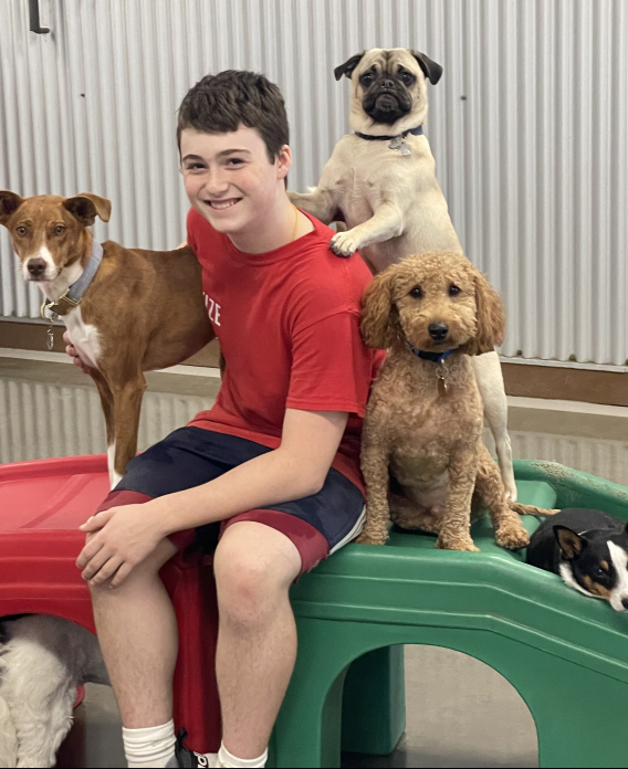 Meet the Team | Camp Bow Wow Strongsville